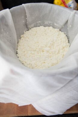 How to make halloumi cheese - Simone's Kitchen