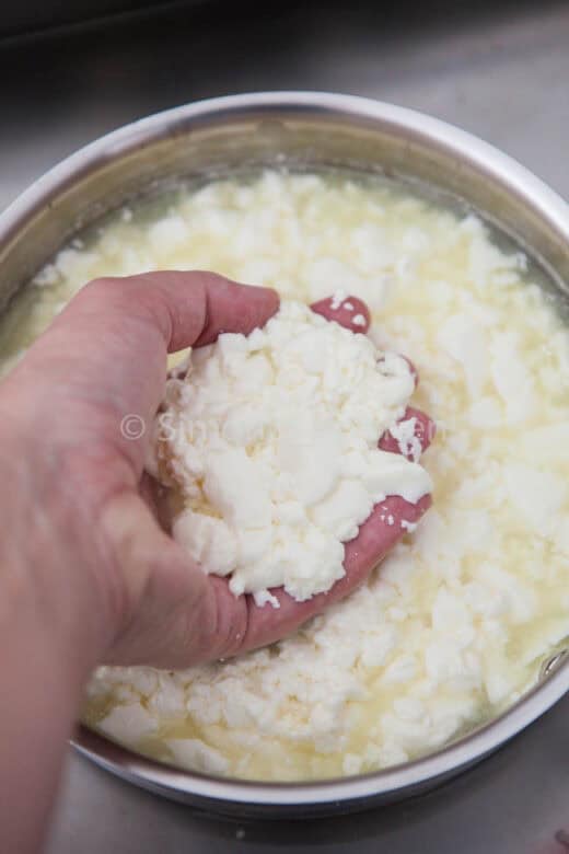 How to make halloumi cheese - Simone's Kitchen