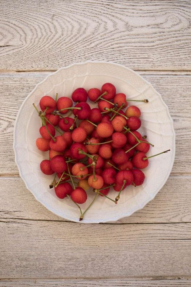 Washed out images. When is light too much light? - Simone's Kitchen